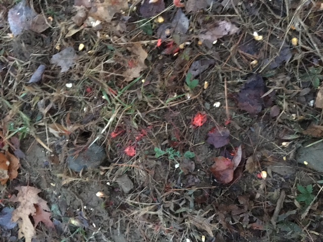 In less than a minute